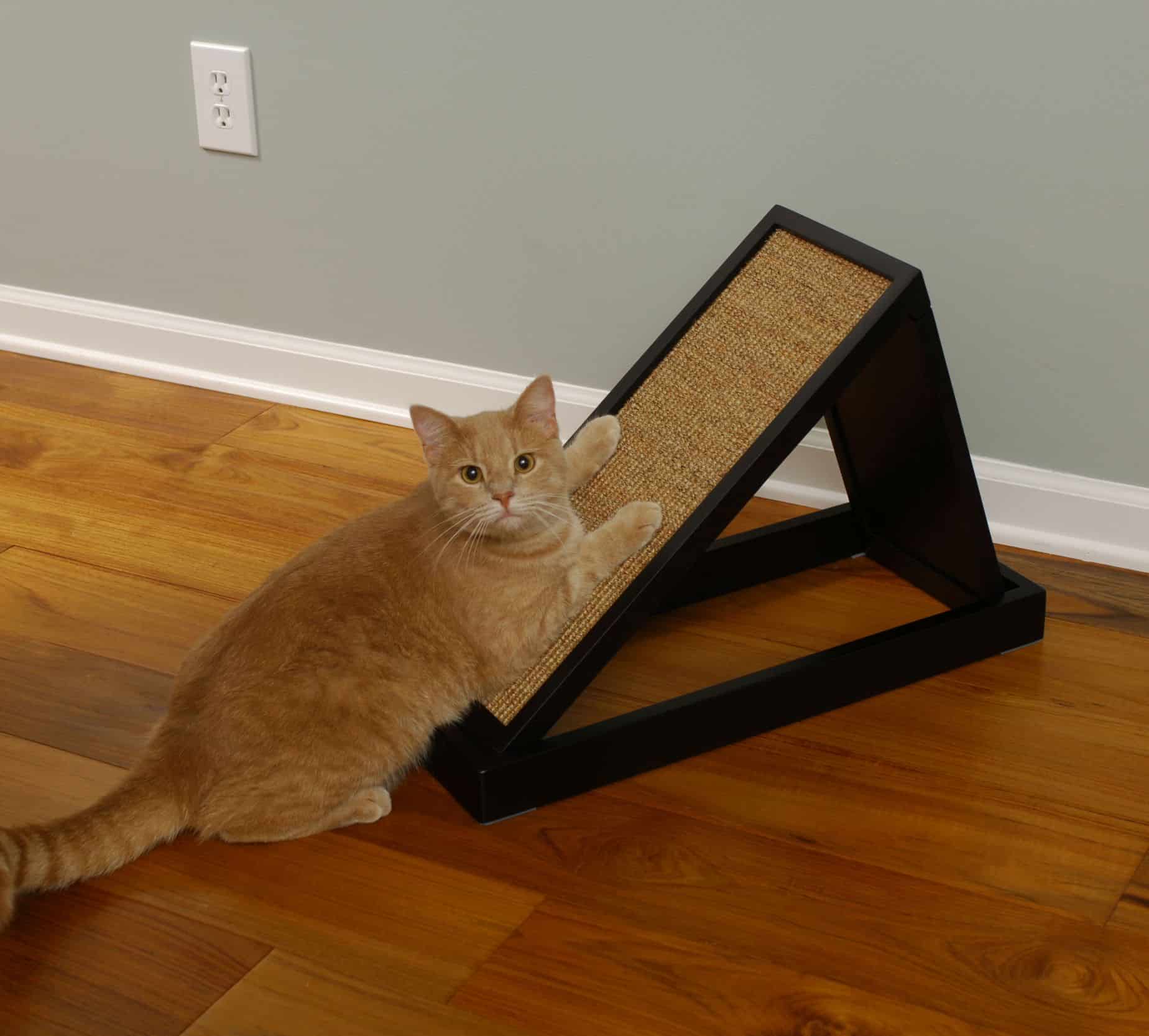 10 Best Cat Scratching Posts EVER Cats Are On Top